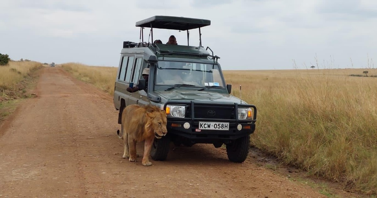 SAFARI DE MEDIO DÍA POR EL PARQUE NACIONAL DE NAIROBI | GetYourGuide