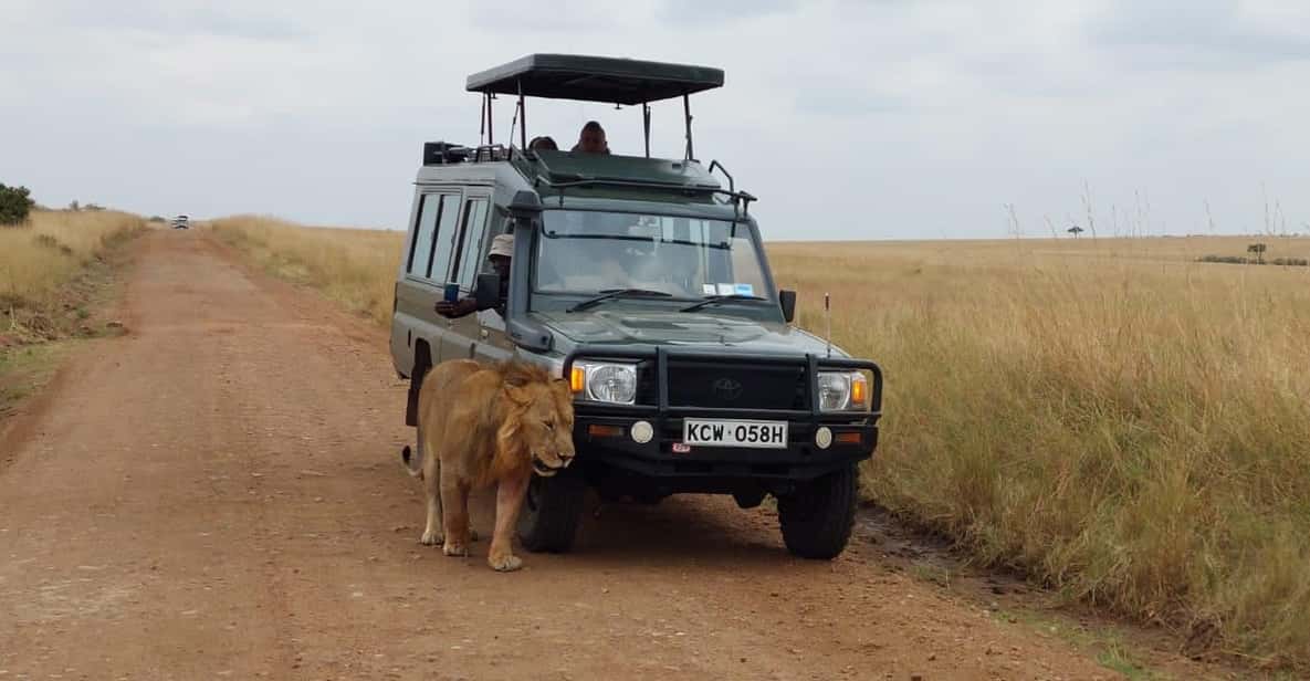 NAIROBI NATIONAL PARK GAME DRIVE HALF-DAY TOUR | GetYourGuide