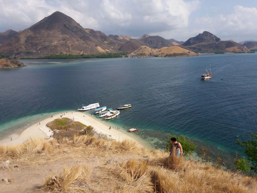 Desde Labuan Bajo Explora la isla del dragón de komodo | GetYourGuide