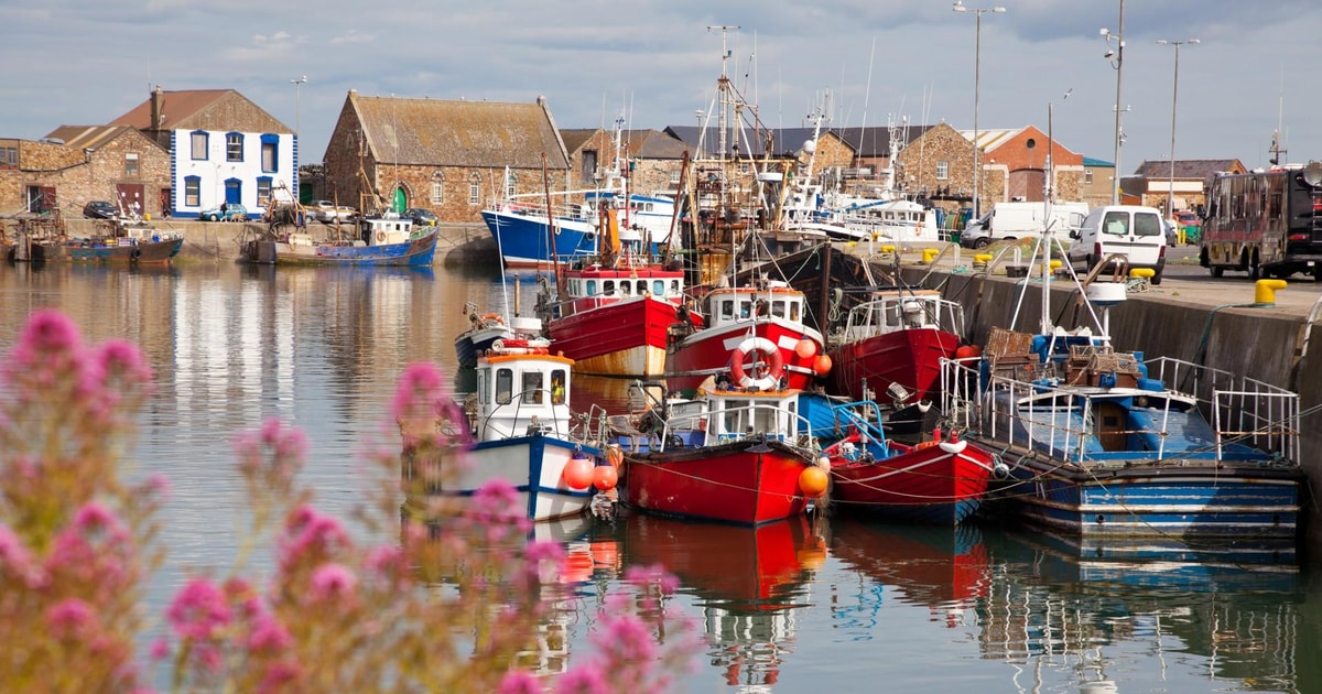 Dublin to Howth Half-Day Guided Hiking Trip by Car or Ferry | GetYourGuide