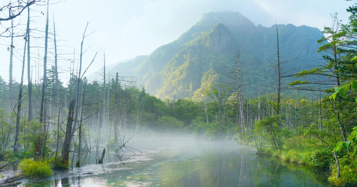 From Nagoya: Kamikochi and Enchanting Landscapes Day Tour | GetYourGuide