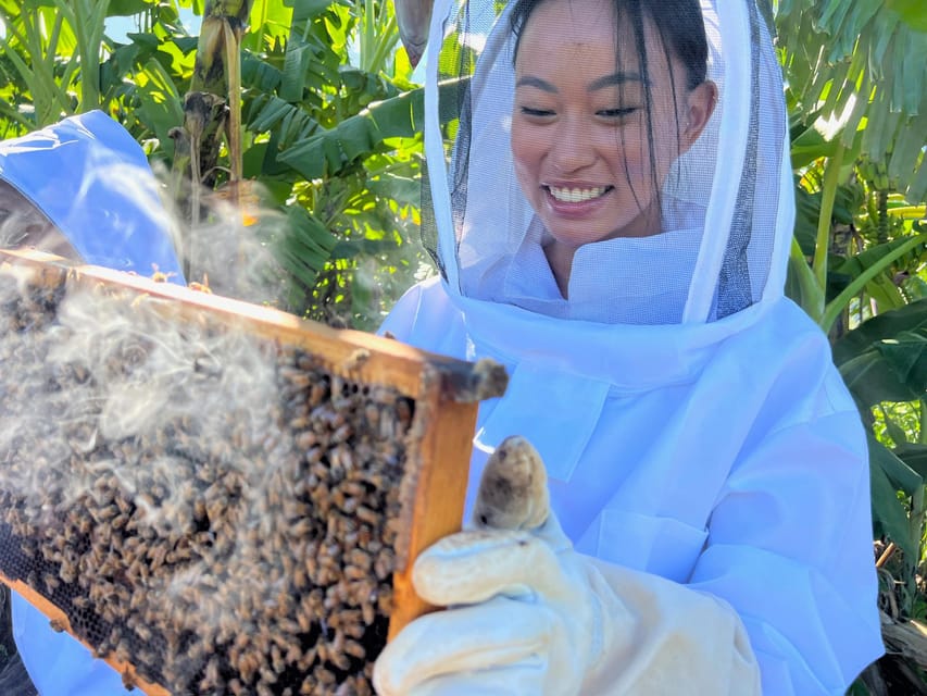 Bee Farm Tour & Honey Tasting | GetYourGuide