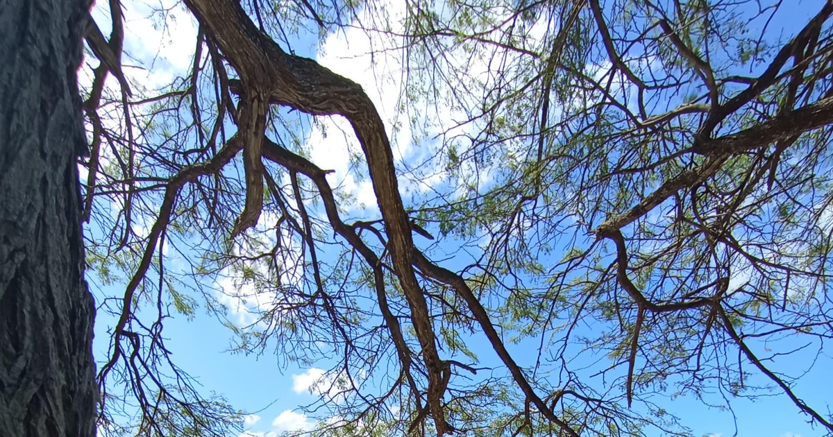Speedboat Tour to Tayrona, Playa Cristal | GetYourGuide