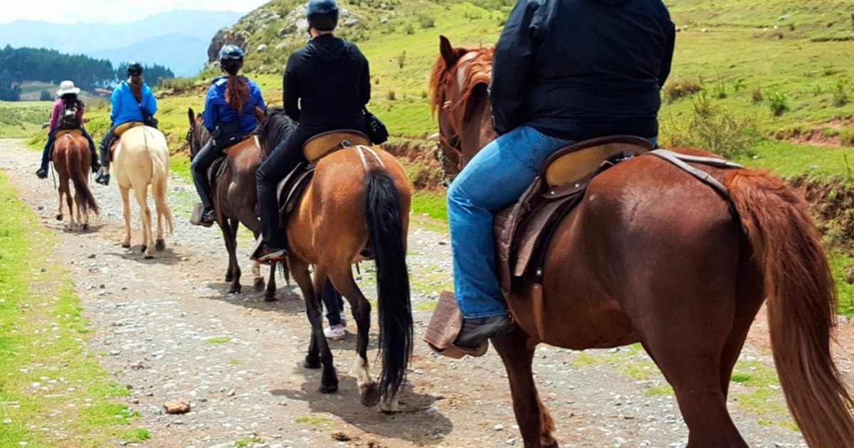 Medio día : Paseo por la montaña a caballo | GetYourGuide