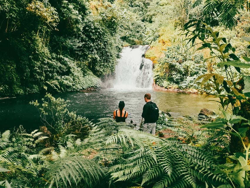 Munduk: Five Hidden Gems Waterfalls Trekking | GetYourGuide