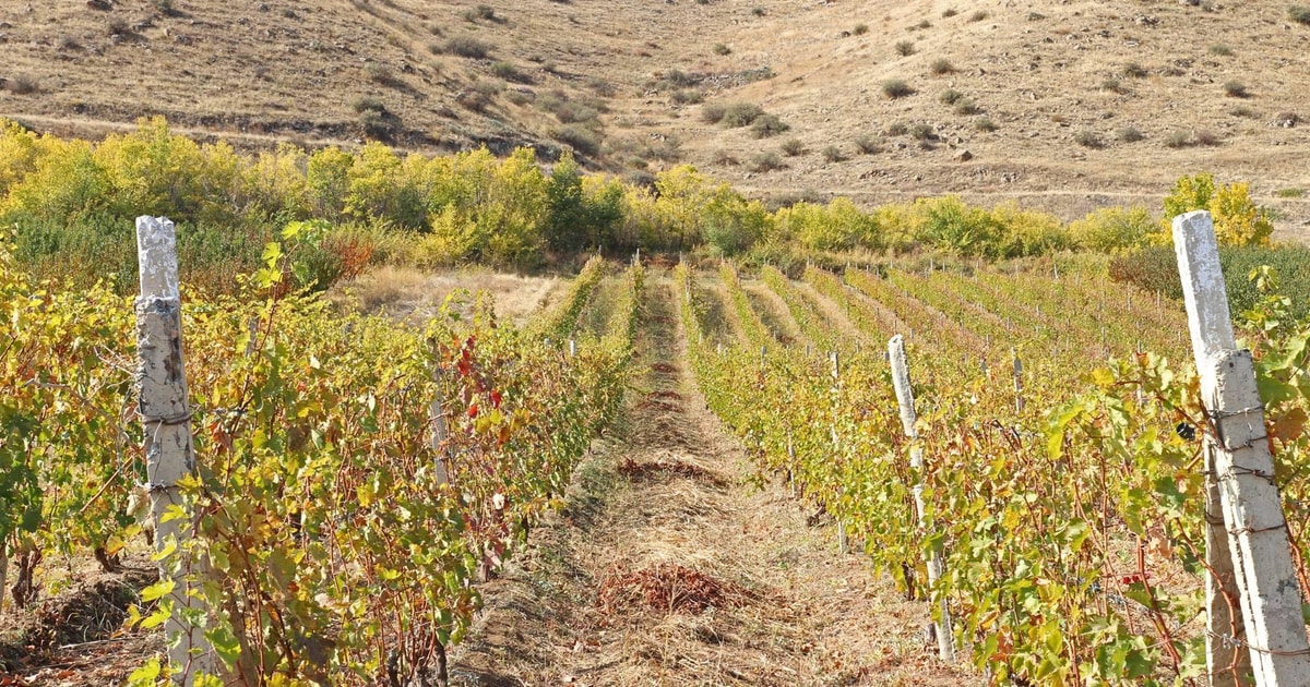 Wine Tasting in Areni Armenia: A Symphony of Tastes | GetYourGuide
