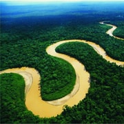 Iquitos: Amazon Rainforest 2-Day Tour | GetYourGuide