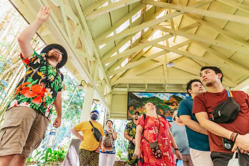 Oahu: Öğle Yemeği ve Waimea Şelalesi ile Circle Island Turu | GetYourGuide
