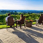 Traverse City: 5-Hour Old Mission Peninsula Wine Tour - 2026 (Verified ...