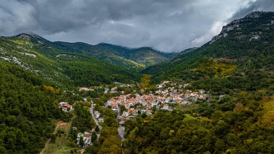 Private Tour in the Chestnut Forest of Steni Evia | GetYourGuide