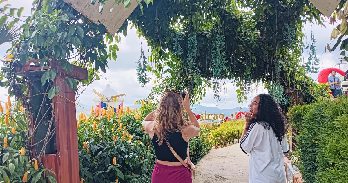 Cebu: Cultural Gems Guided Tour with 10,000 Roses | GetYourGuide