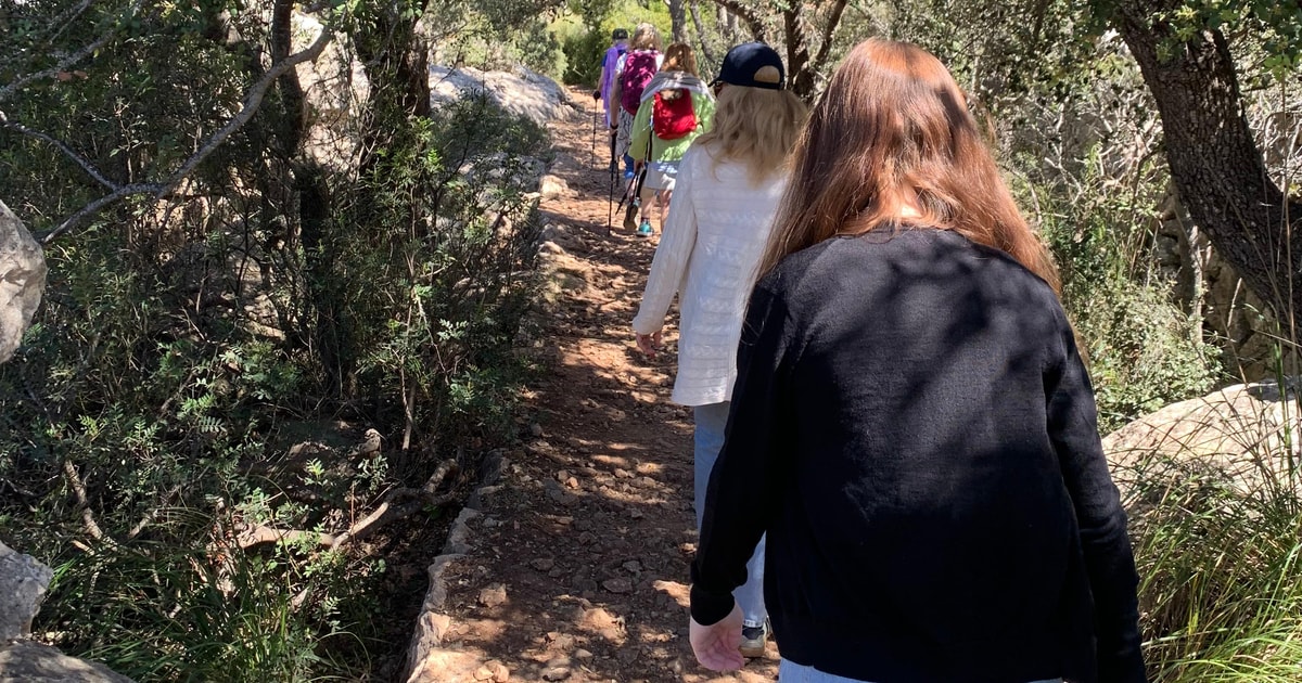 Serra Tramuntana : memorable easy hike with beautiful views | GetYourGuide