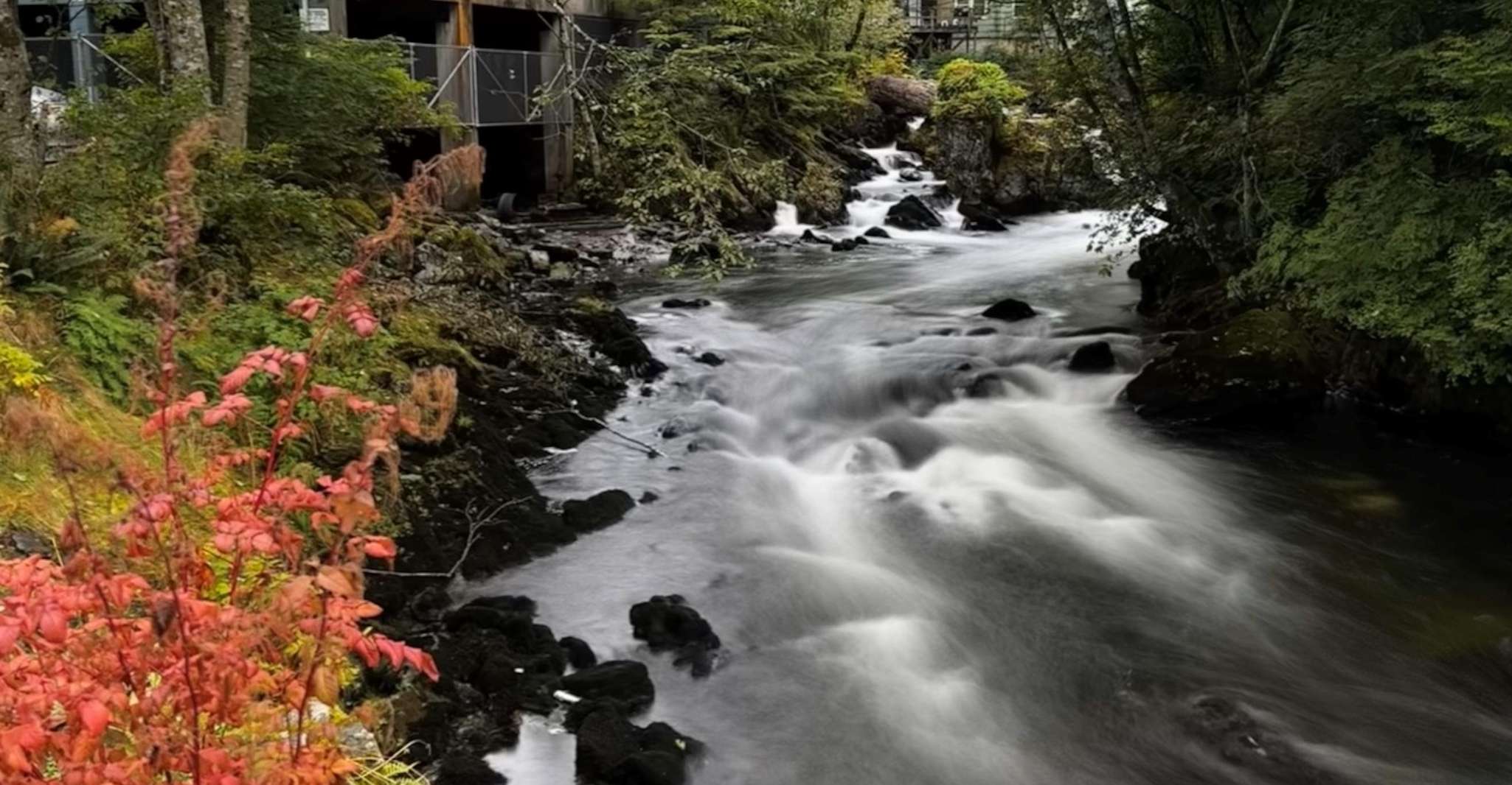 Ketchikan Photo Safari | Guided Tour in Ketchikan