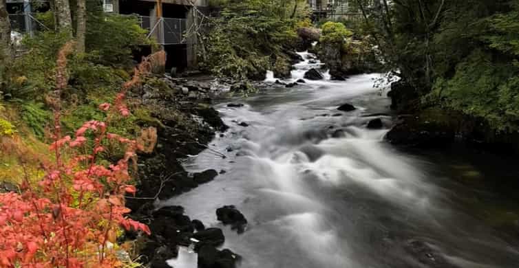 Potlatch Totem Park, Ketchikan - Book Tickets & Tours | GetYourGuide