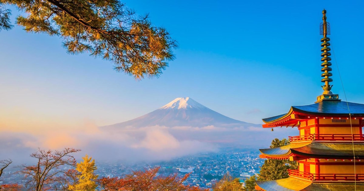Von Tokio aus: Mt. Fuji oder Hakone Sightseeing Private Tagestour | GetYourGuide
