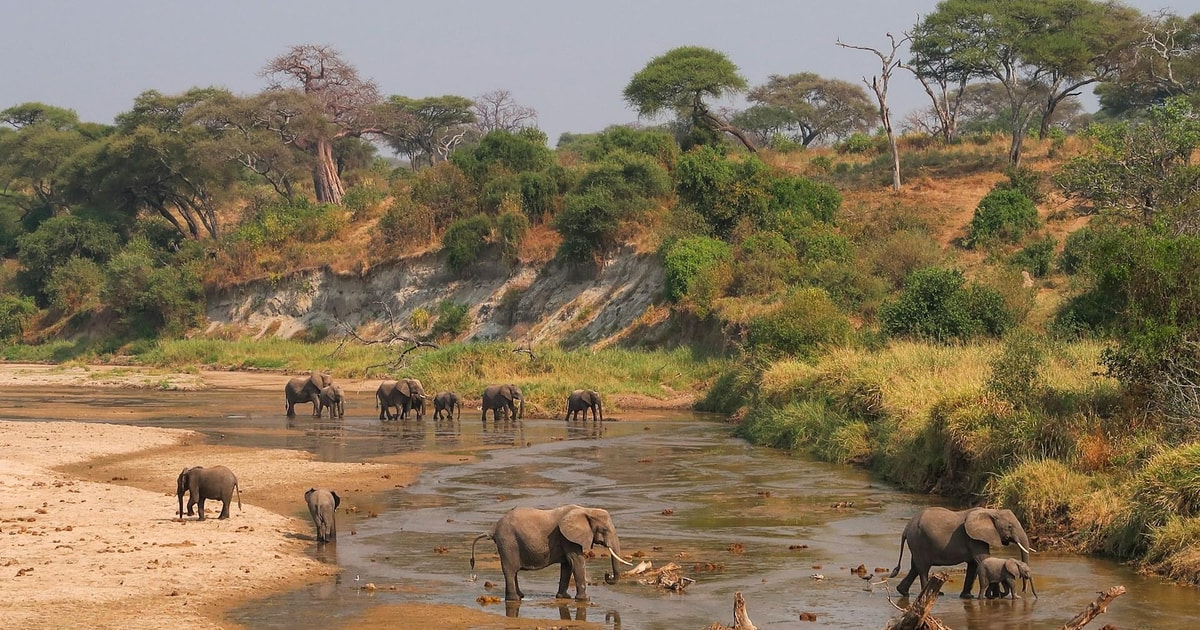 4-Day Safari to Arusha NP, Ngorongoro, Tarangire & Makuyuni | GetYourGuide
