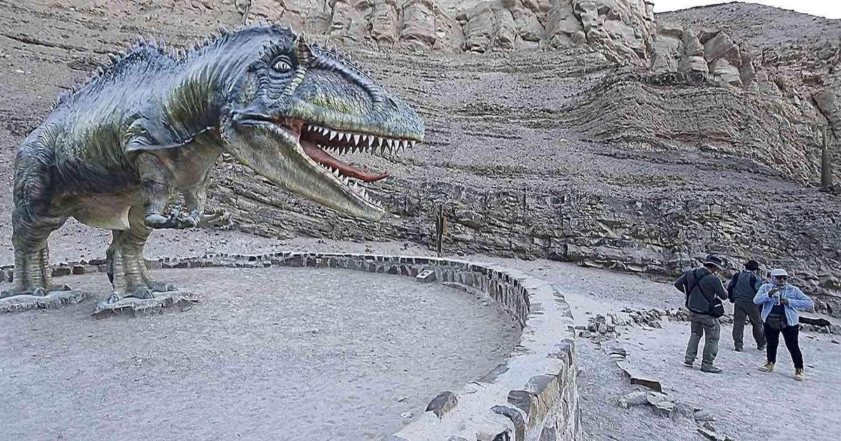 Pisco Route and Dead Bull Petroglyphs in Arequipa | GetYourGuide