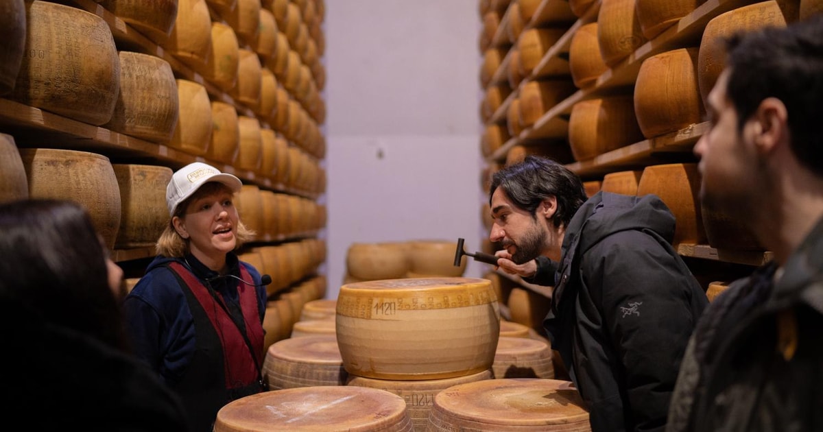 Bologna Full Day Food Factory Tour and Wine Tasting | GetYourGuide