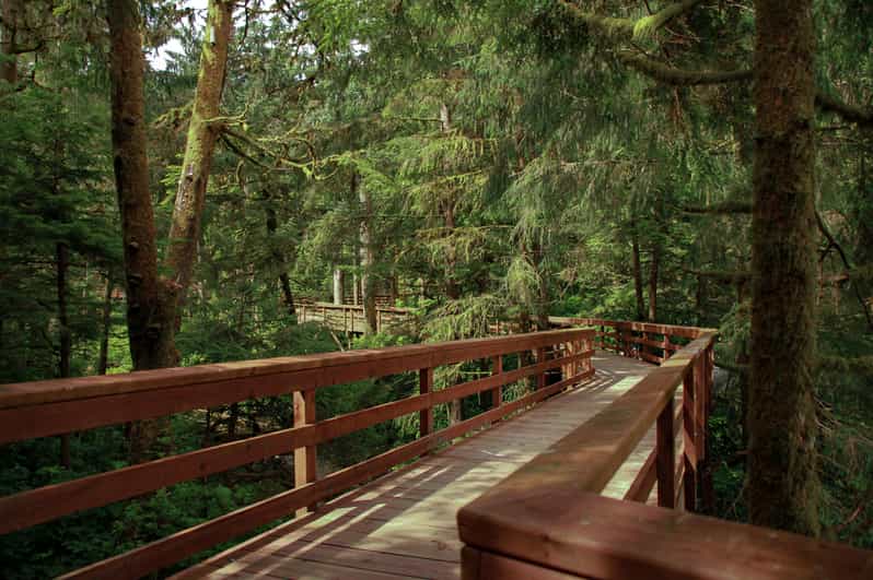 Ketchikan: Alaska Rainforest Sanctuary and Totem Park Walk | GetYourGuide