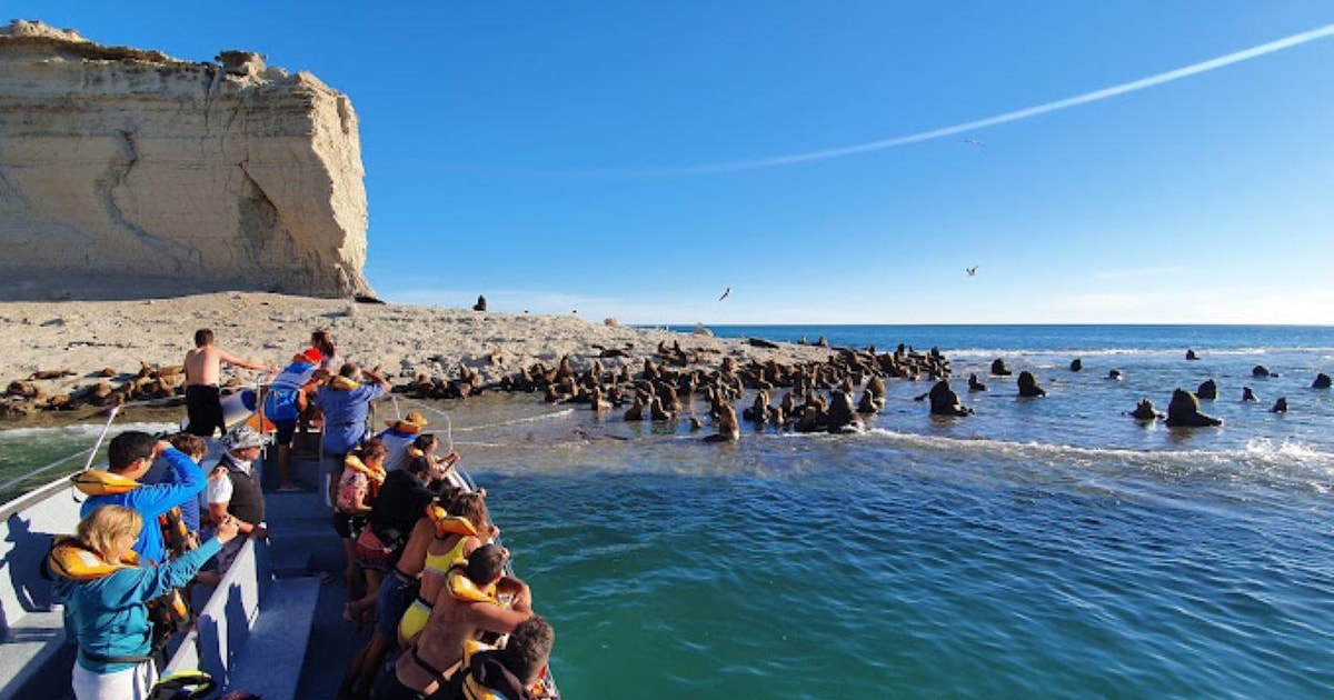 Puerto Madryn: Peninsula Valdes Tour with Whale Watching | GetYourGuide