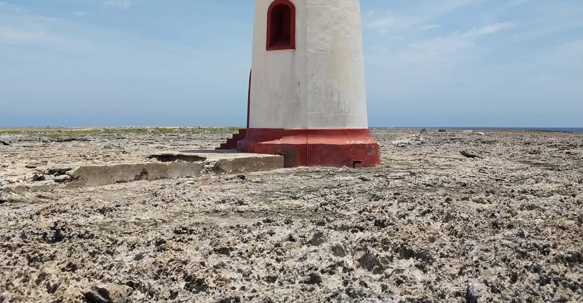Spelonk Leuchtturm Tour mit lokalem Guide | GetYourGuide