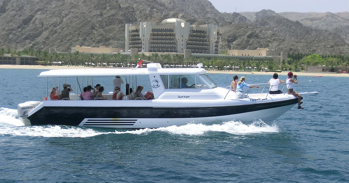 Muscat Dolphin Watching & Sightseeing Tour | GetYourGuide