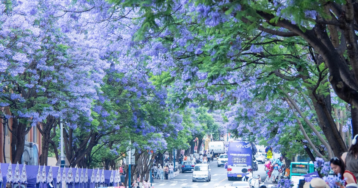 6-Day Authentic Yunnan & Heritage Trail Tour | GetYourGuide