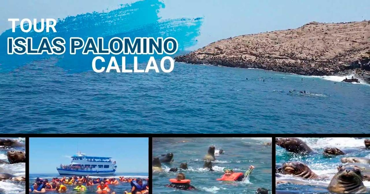 From Lima: Palomino Islands | GetYourGuide