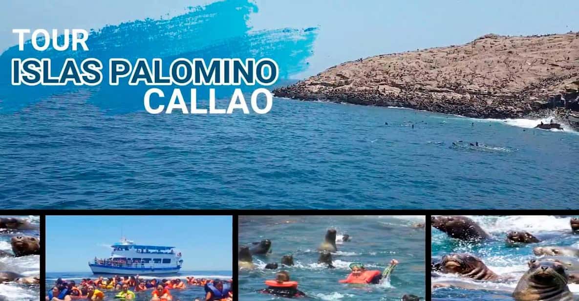 Desde Lima: Islas Palomino | GetYourGuide