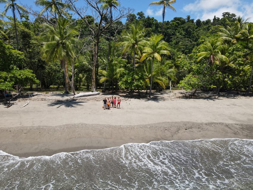 Caño Island Biological Reserve - Snorkeling or Diving | GetYourGuide