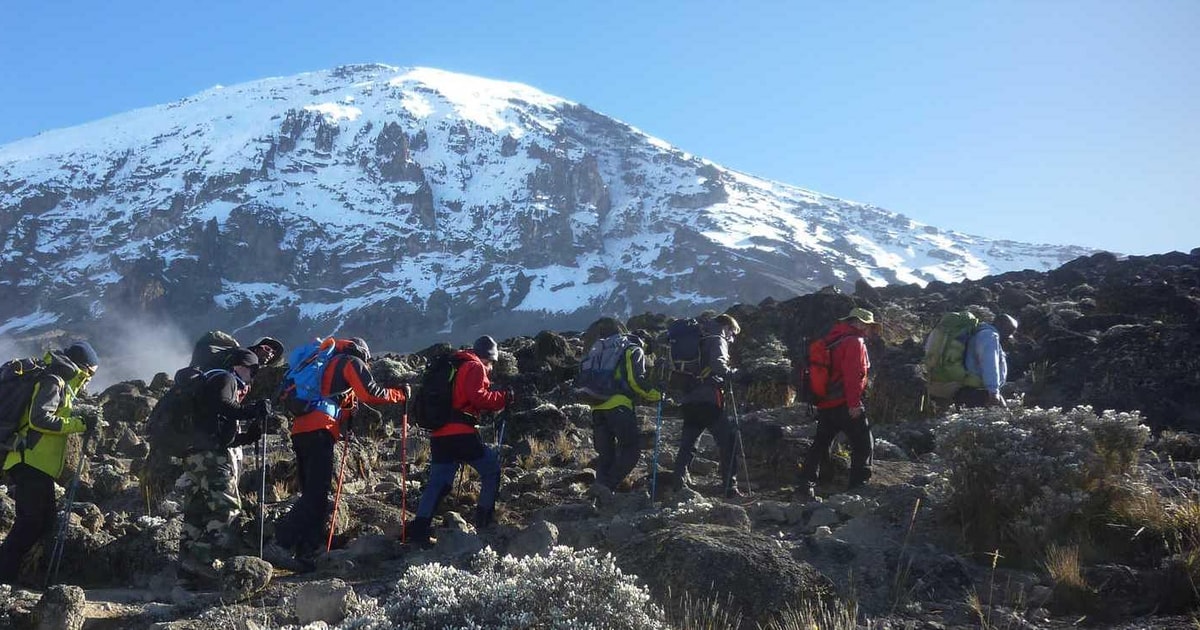 Mountain Kilimanjaro: 7-Day Machame Route adventure Trek | GetYourGuide