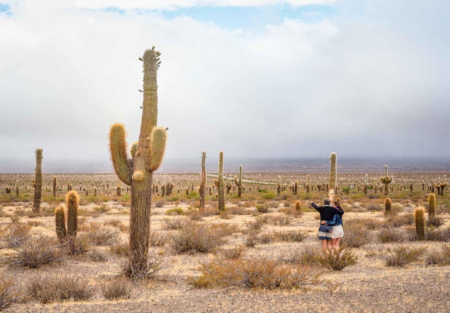 Salta: Calchaquí Valley Scenic Drive and Day Trip to Cachi | GetYourGuide