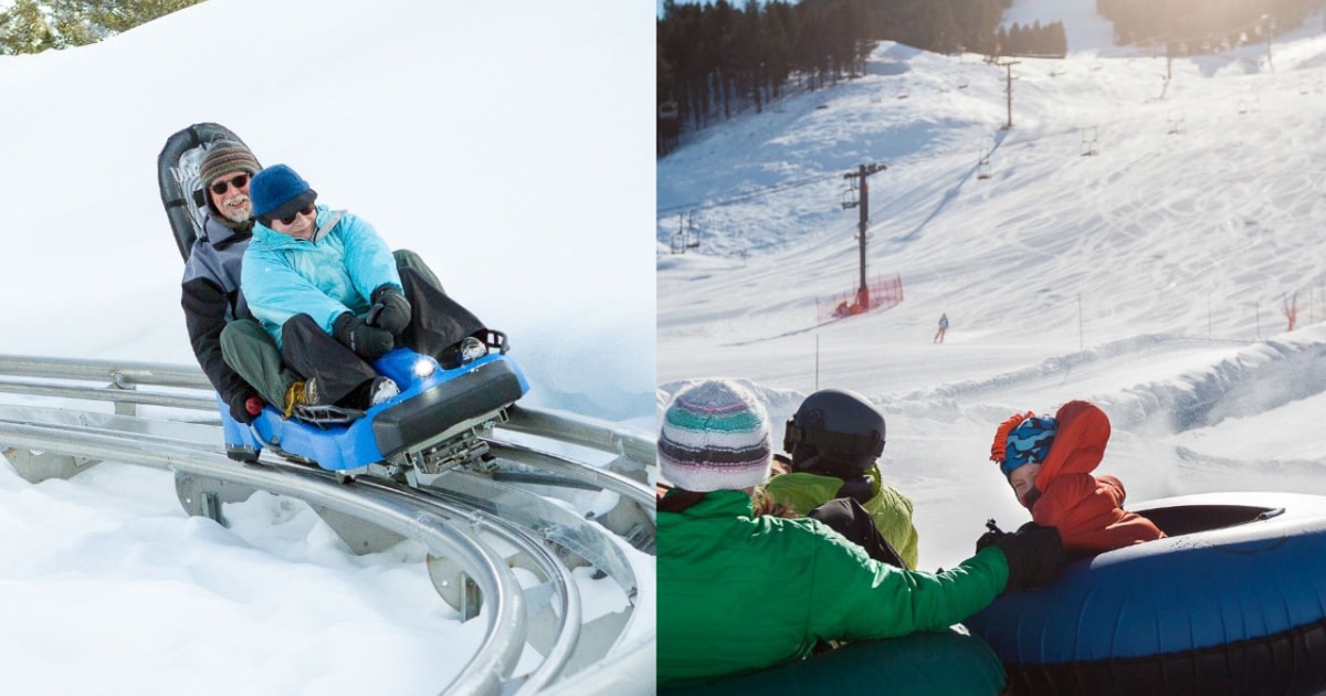 Jackson: Snow King Snow Tubing & Cowboy Coaster Combo | GetYourGuide