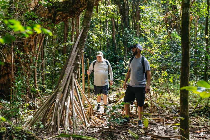 Maui: Rainforest Waterfalls Guided Hike with Picnic Lunch | GetYourGuide