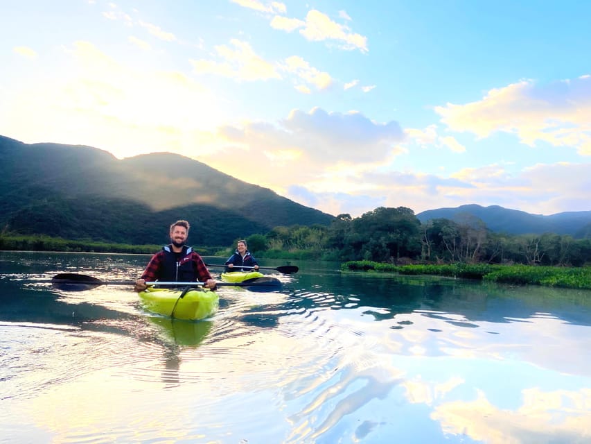 Amami: Morning Mangrove Kayaking Tour | GetYourGuide