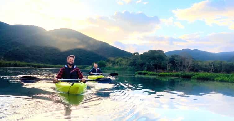 Amami: Morning Mangrove Kayaking Tour | GetYourGuide