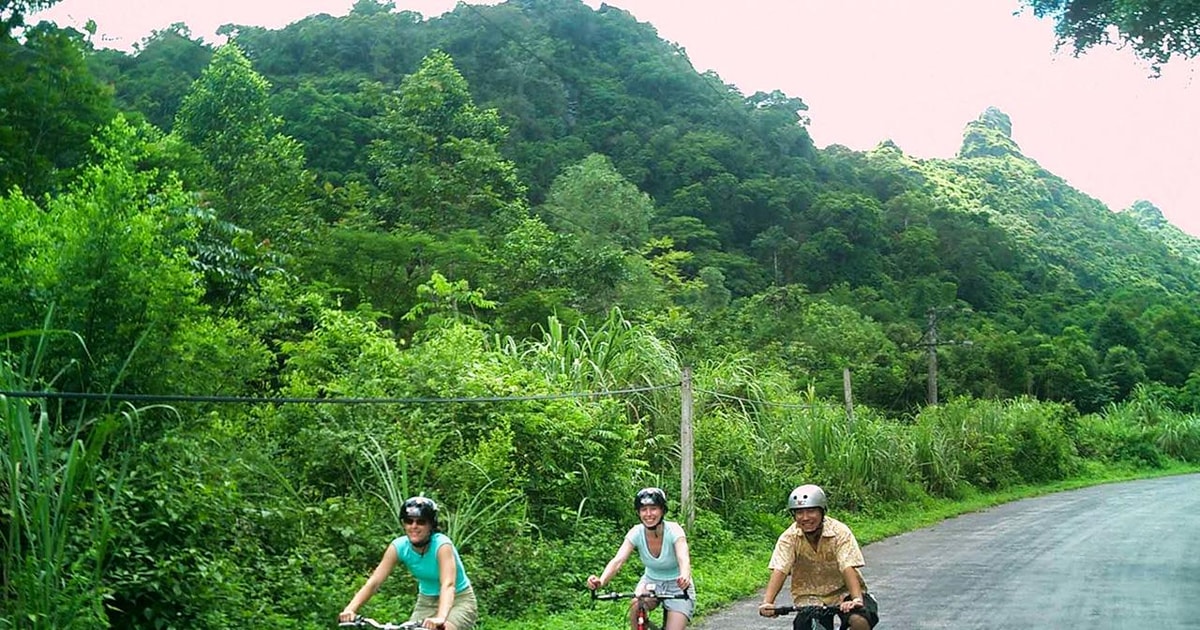Hanoi'den: Tam Günlük Tam Coc Nehri Macerası | GetYourGuide