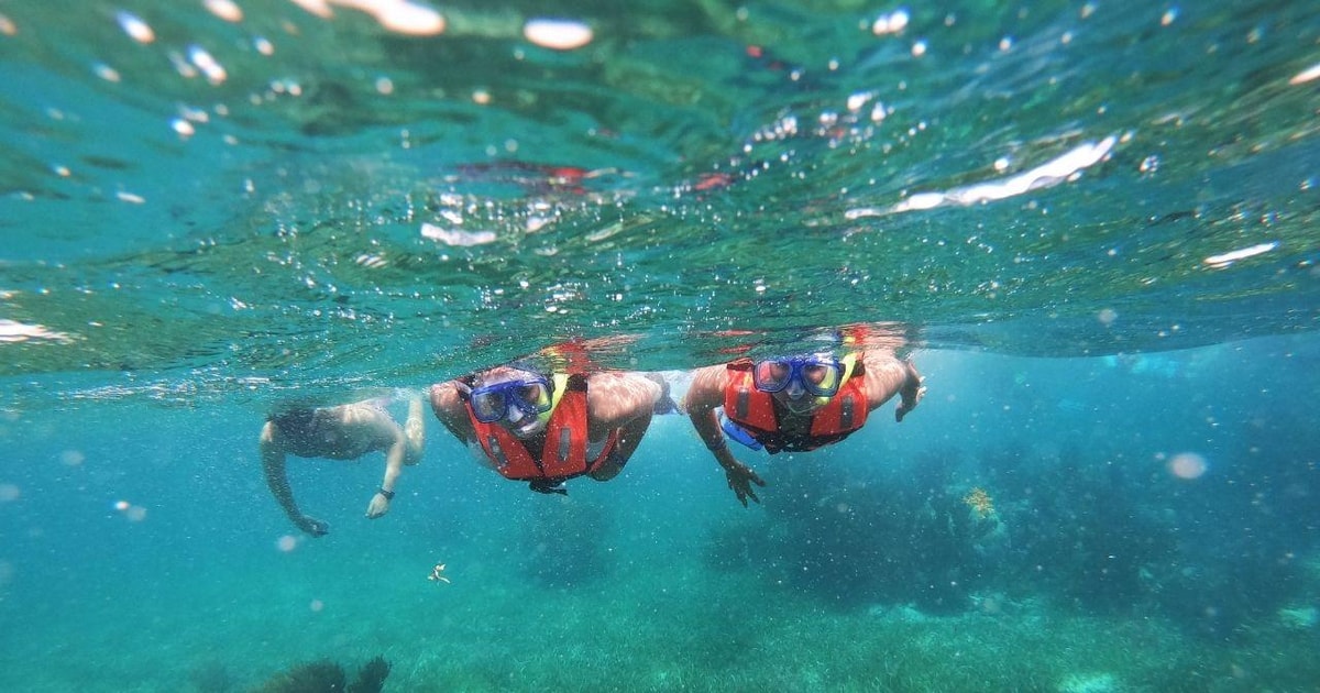 Puerto Morelos: Snorkel tour in reef with transportation | GetYourGuide