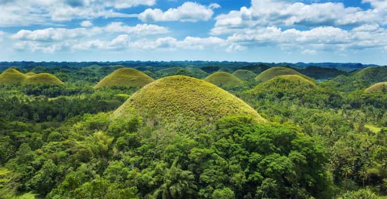 From Cebu City: Bohol Island Highlights in One Day | GetYourGuide