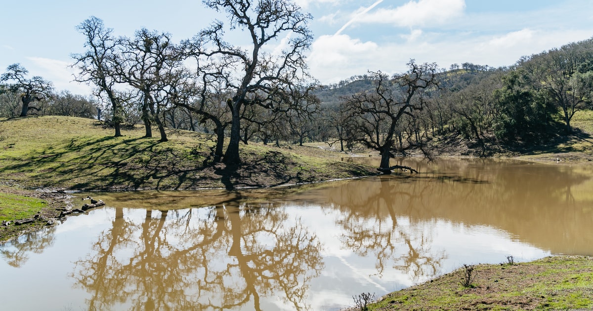 San Luis Obispo: Santa Lucia Guided Nature Tour | GetYourGuide