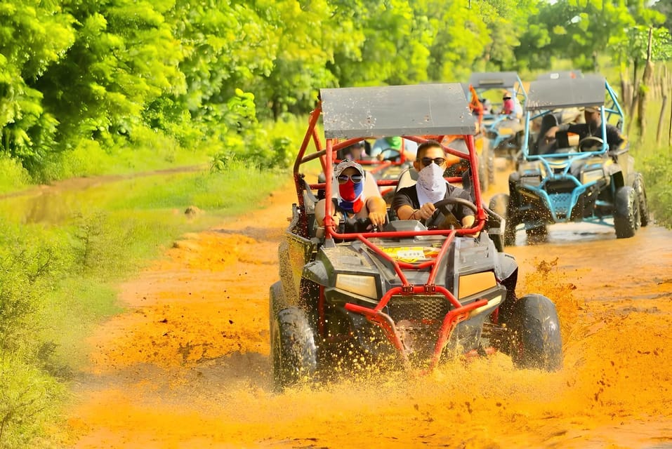 Punta Cana : Excursion en buggy avec plage et cénote | GetYourGuide