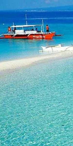 Cebu: Whaleshark Encounter, Tumalog Falls & Sumilon Sandbar | GetYourGuide