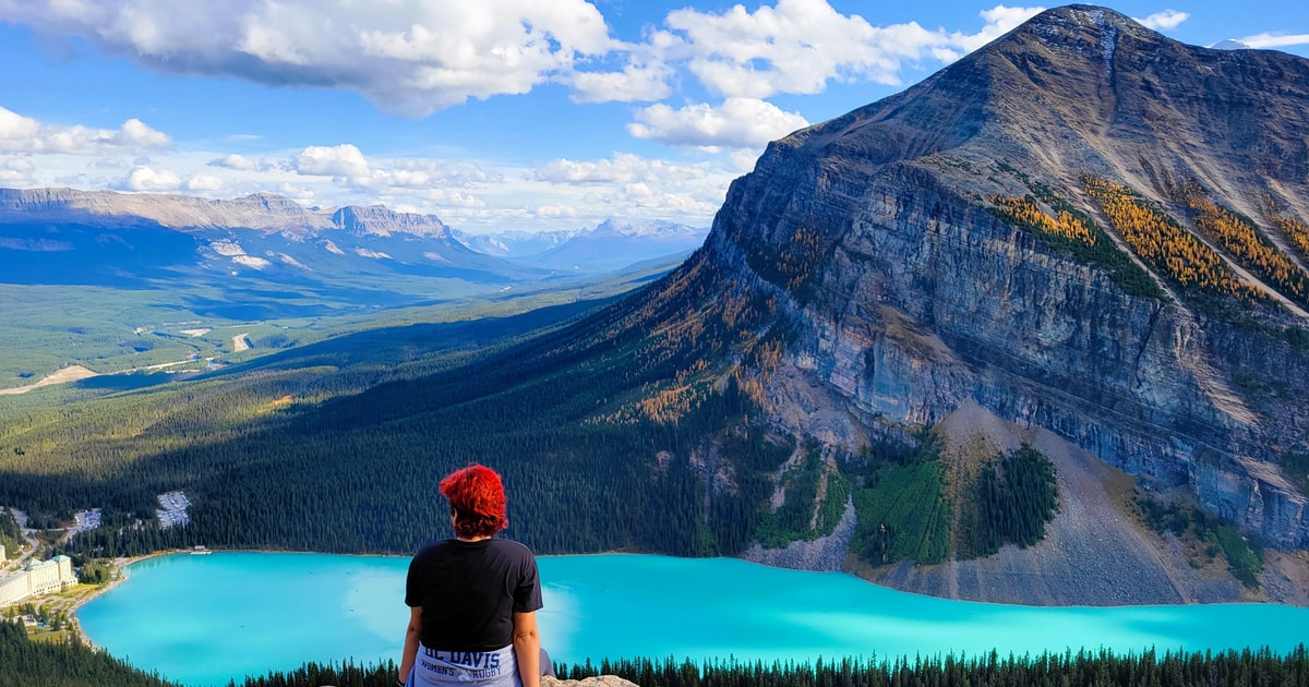 Desde Calgary/Canmore: excursión de un día al Parque Nacional de Banff ...