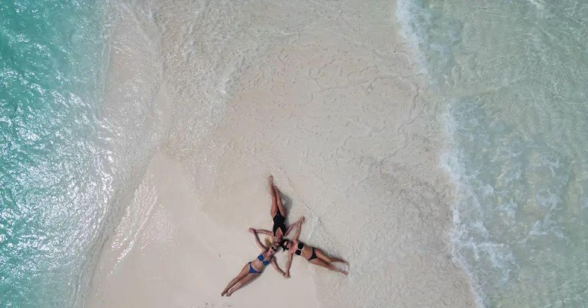 Organic Lunch Break, Spice Farm Tour, Prison Island Tour | GetYourGuide