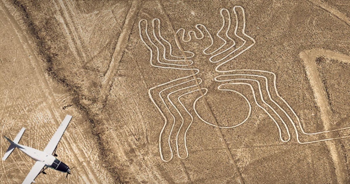 Linee di Nasca complete con Oasi di Huacachina | Escursione di 1 giorno | GetYourGuide