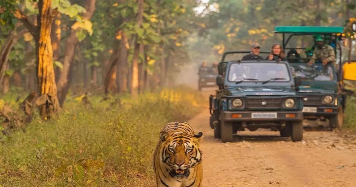 Kathmandu: 4-Day Private Chitwan National Park Safari Tour | GetYourGuide