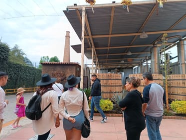 From Guadalajara: Tequila Tour with Tastings | GetYourGuide