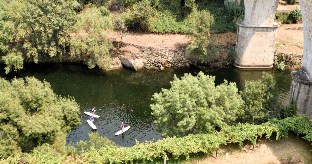 SUP TOUR - Explore Porto´s surroundings on a SUP Board | GetYourGuide