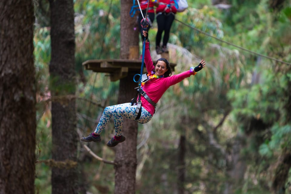 Tenerife: Forestal Park Tenerife Entry Ticket | GetYourGuide