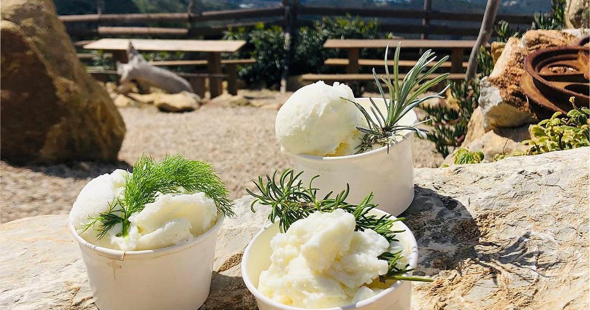 E-Bike & Snack with Goat Ice Cream on a Panoramic Hill on Elba Island ...